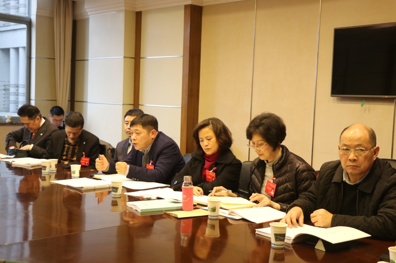 人大代表分组审议